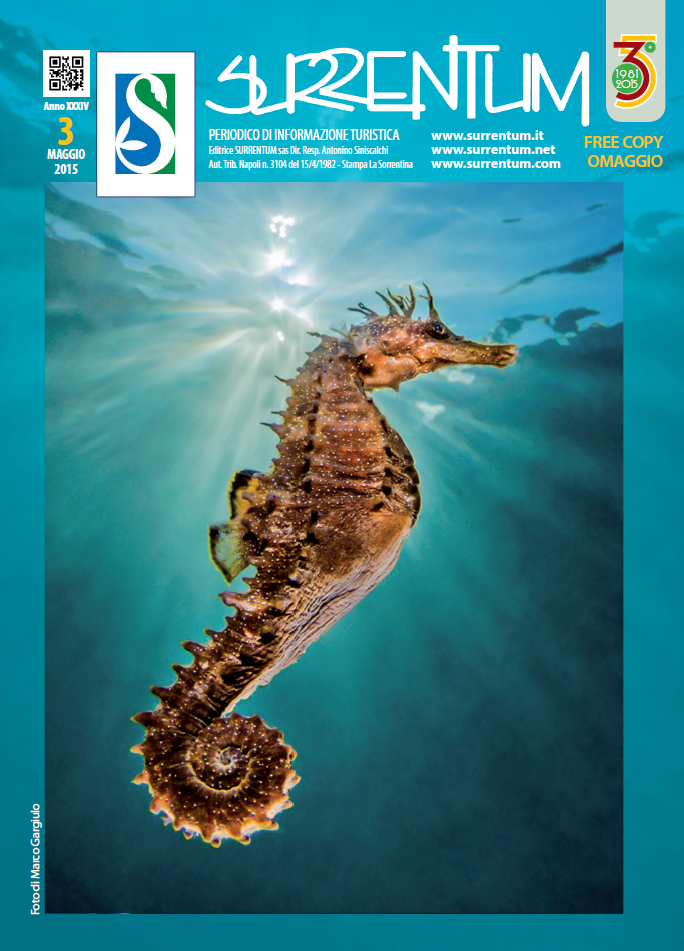 Surrentum Magazine 2015_05 - Surrentum Magazine